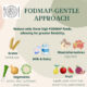 FODMAP LIGHT: Een Zachtere Aanpak voor een Gevoelige Spijsvertering ...