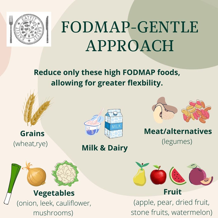 FODMAP LIGHT: Een Zachtere Aanpak voor een Gevoelige Spijsvertering ...